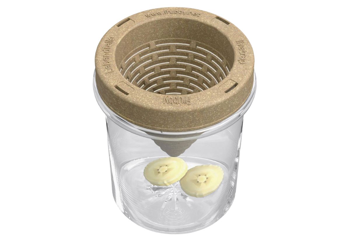 Frubby® Fruit Fly Live Trap - Environmentally friendly & effective ...